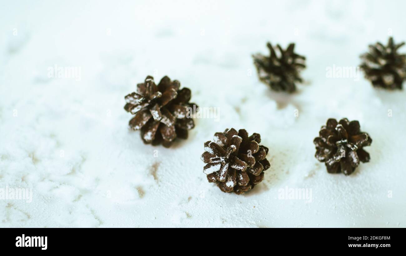 Set of nine different cones isolated on white background Stock Photo ...