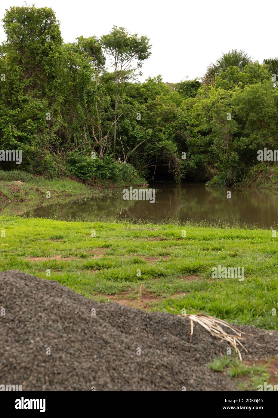 lake in the Aporé River Permanent Protection Area Stock Photo - Alamy