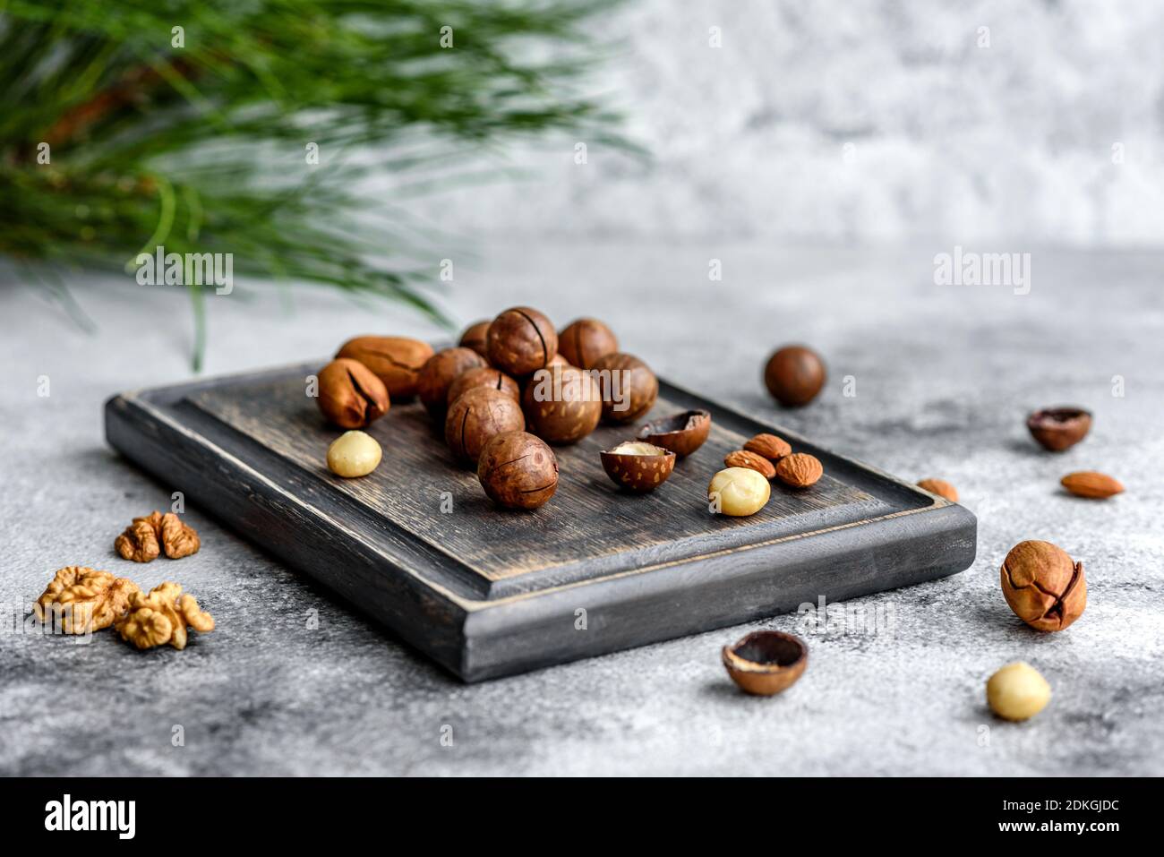 Several types of nuts against the background of spruce branches on a ...