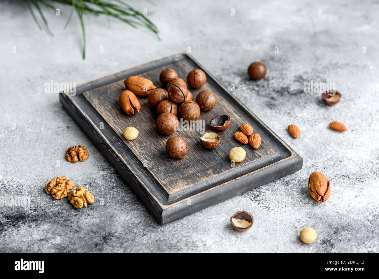 Several types of nuts against the background of spruce branches on a ...