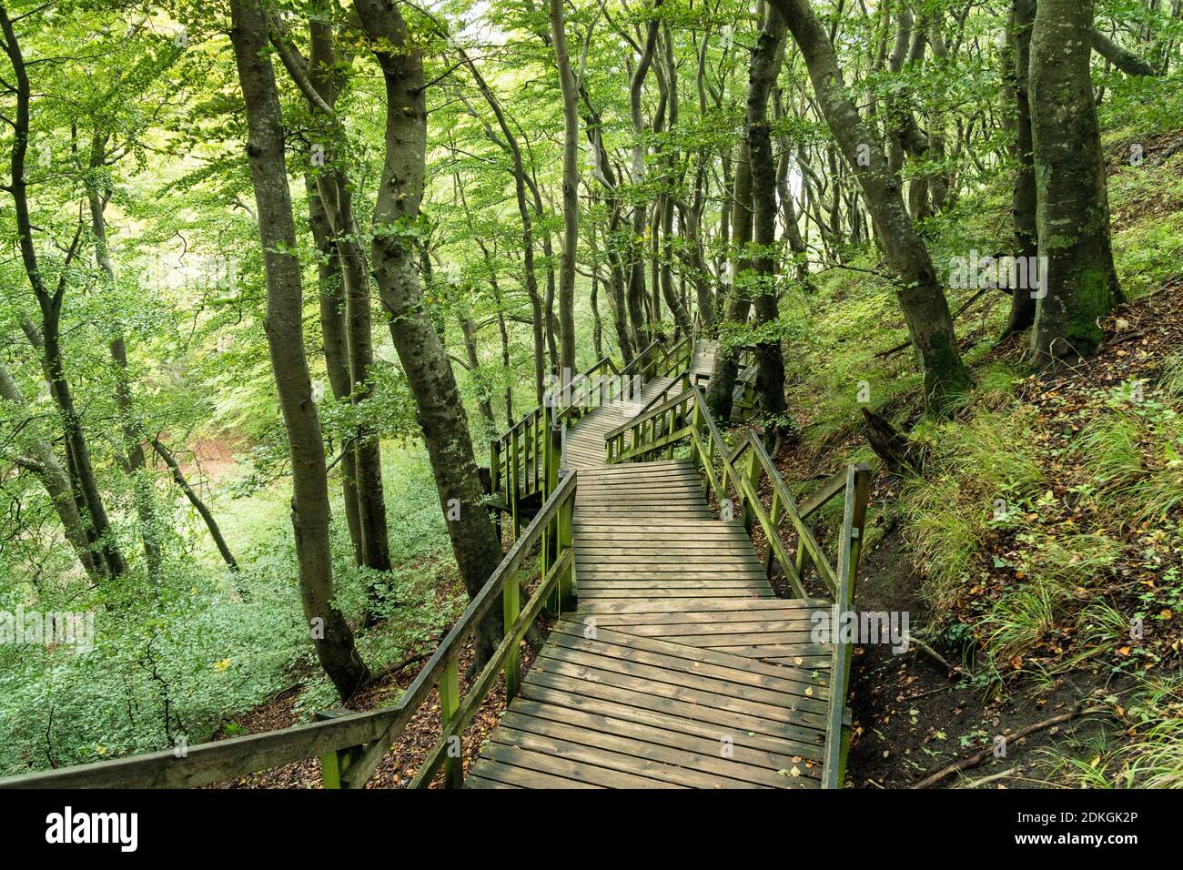 Geologic time scale hi-res stock photography and images - Alamy