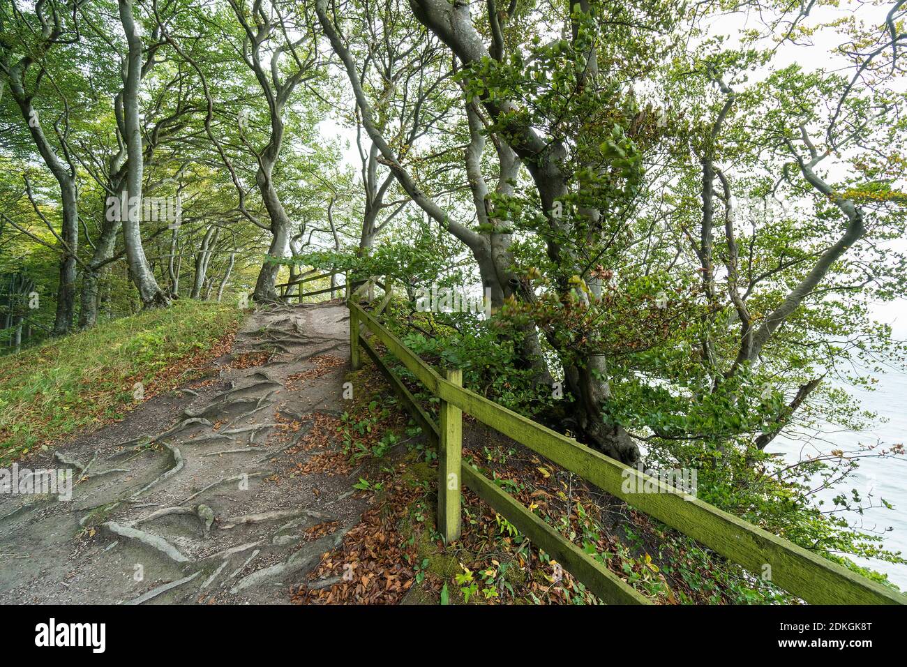 Møns Klint, steep coast, hiking trail, northern route, abrupt edge ...