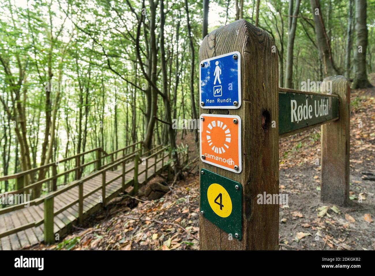 Denmark, Møns Klint, steep coast, hiking trails with markings ...