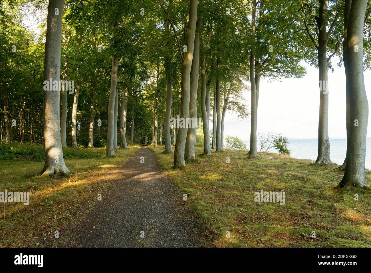 Long distance cycle route hi-res stock photography and images - Alamy