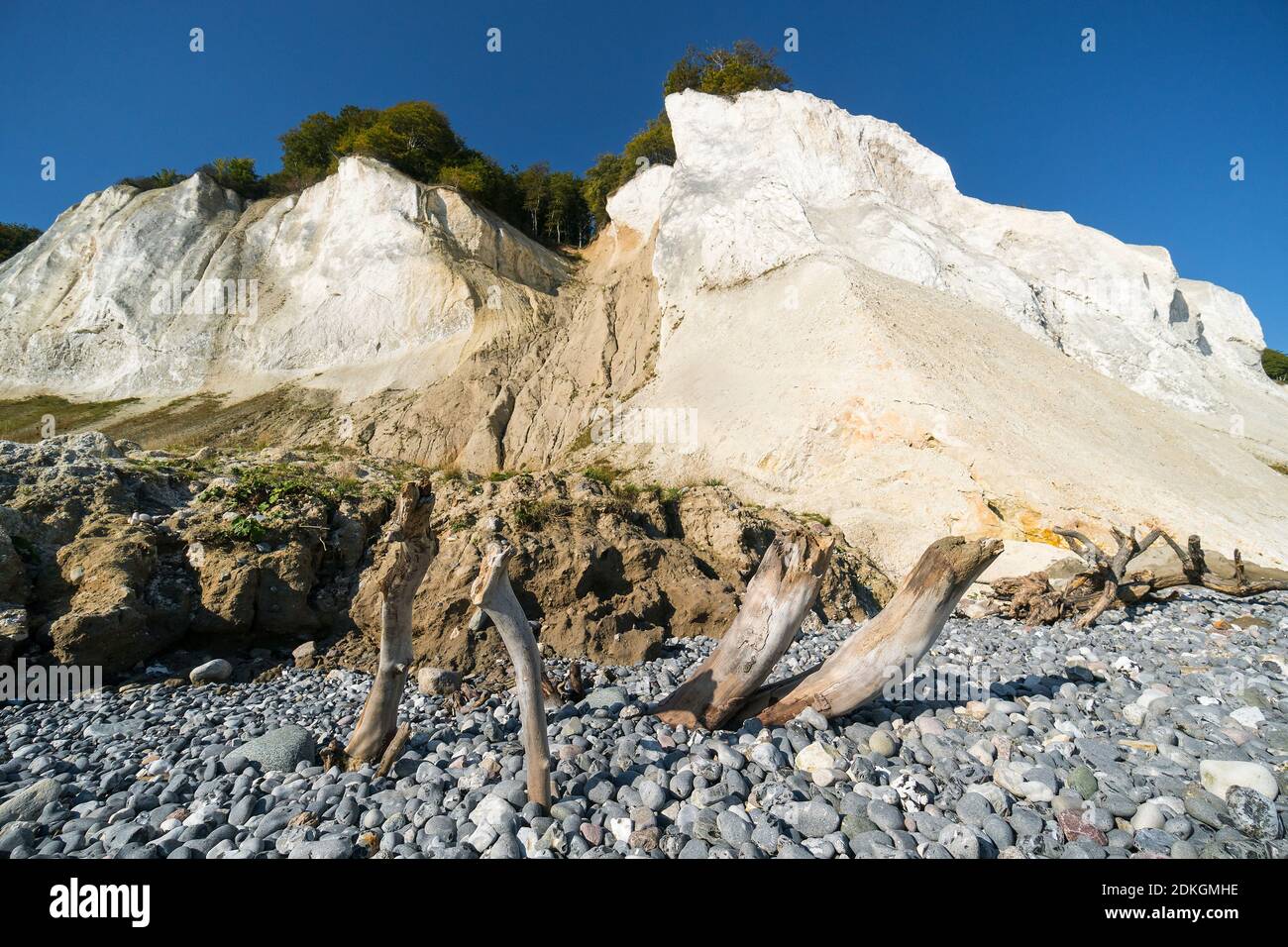 Denmark, Møns Klint, steep coast, chalk cliffs, edge with remains of ...