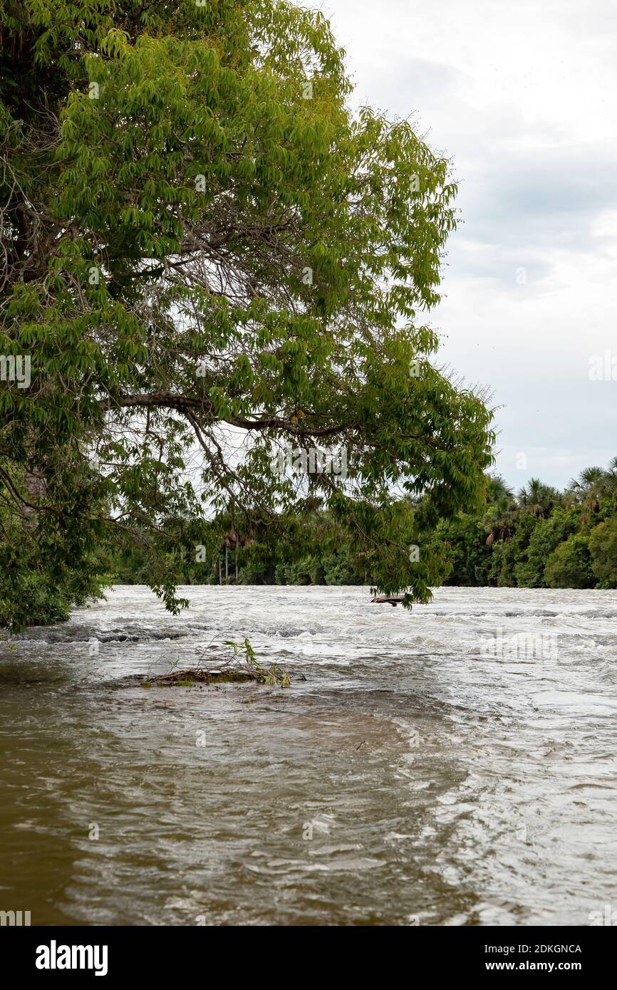 River waters at the apore river jump Stock Photo - Alamy