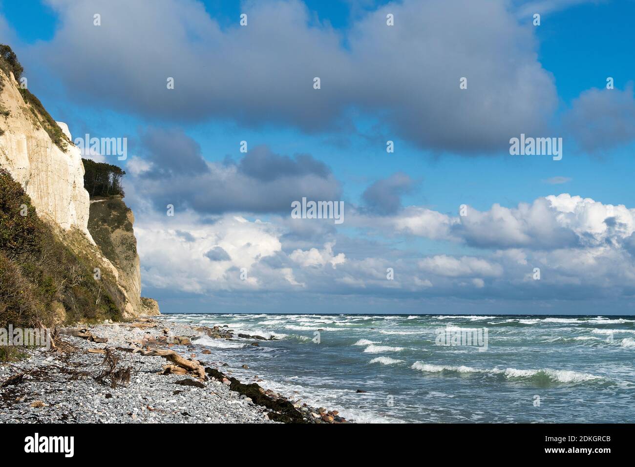 Denmark, Møns Klint, steep coast, chalk cliffs, cumulus clouds Stock ...