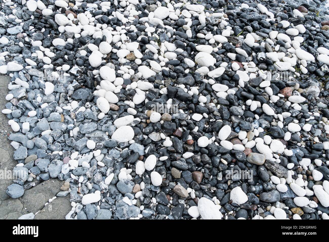 Denmark, Møn peninsula, stone coast at Møns Klint, pebble sponges ...