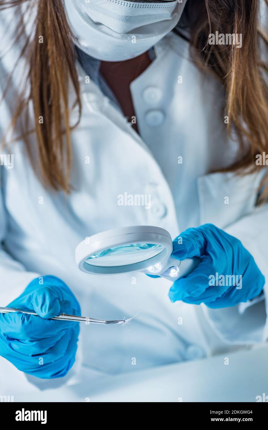 Forensic scientist analysing dna hi-res stock photography and images ...
