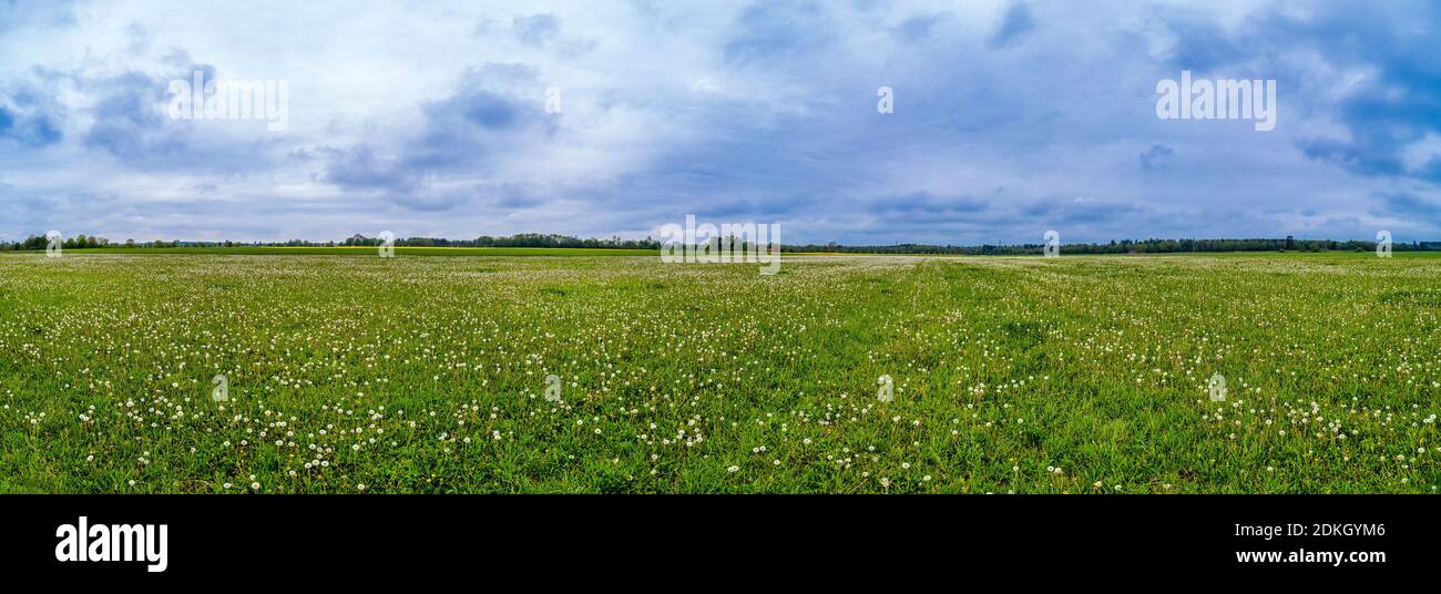 Beautiful spring hi-res stock photography and images - Alamy