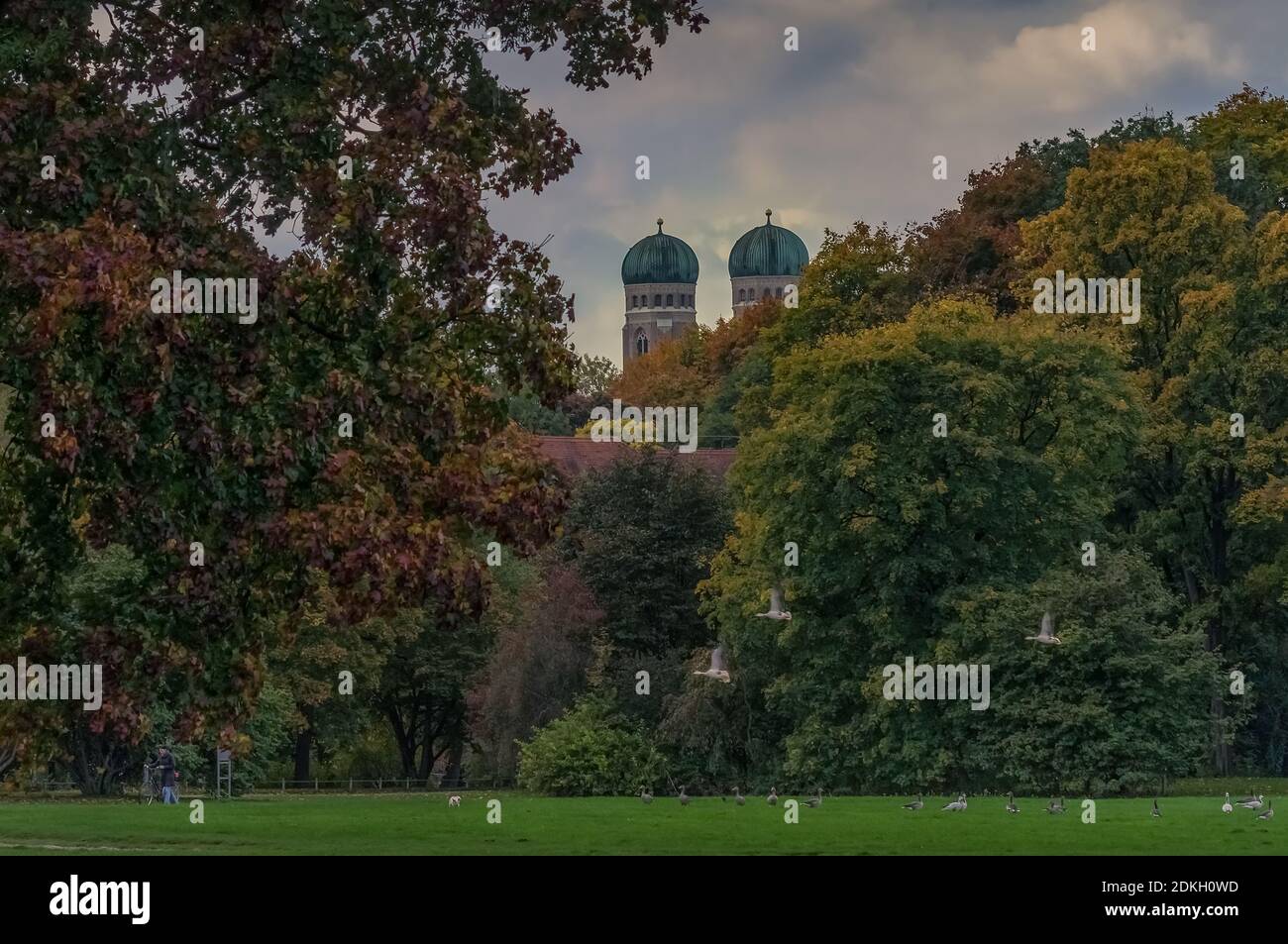 It's fall time: Colored leafes of trees in the bavarian capital of ...
