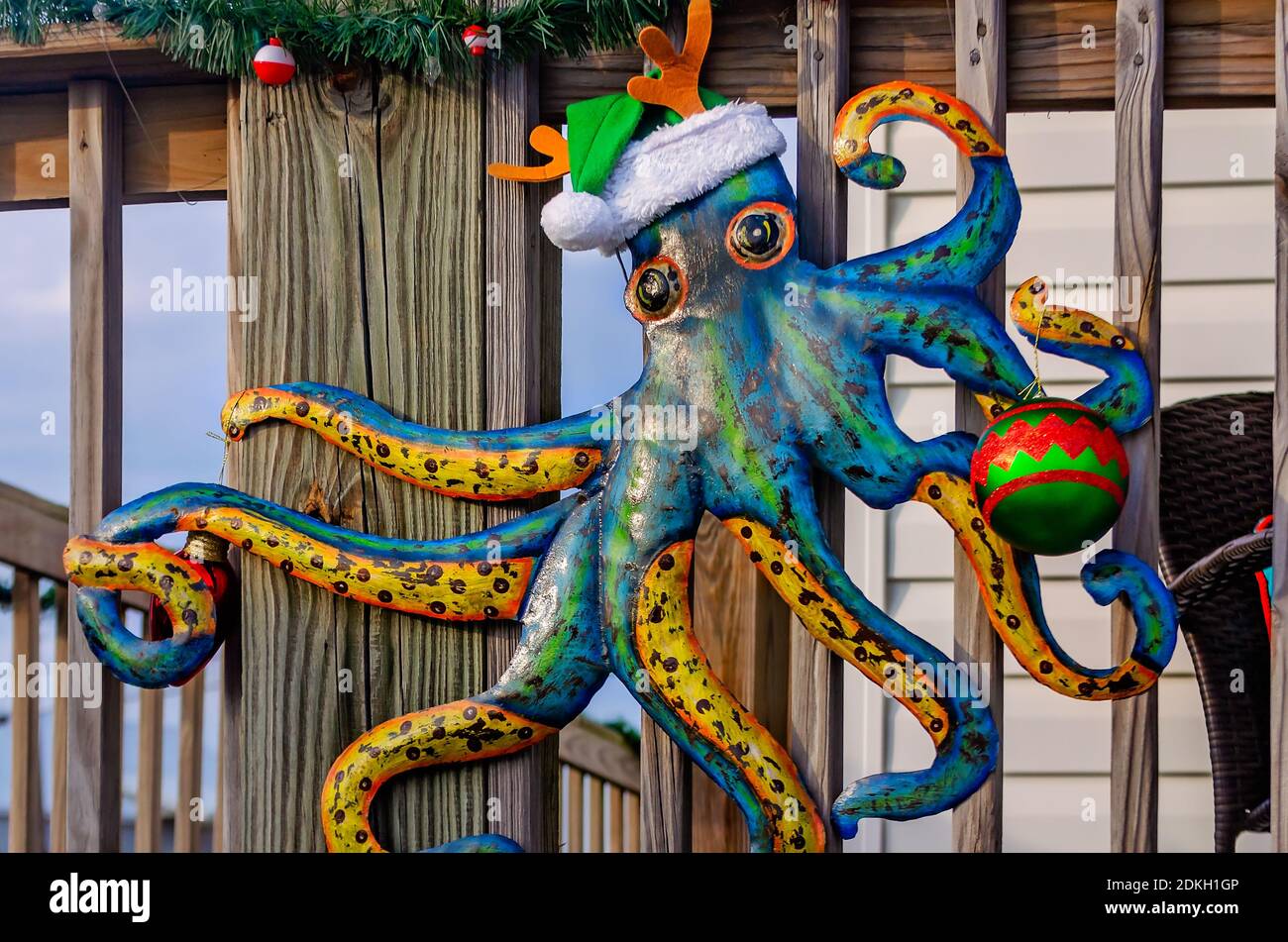 Day octopus christmas island hi-res stock photography and images - Alamy