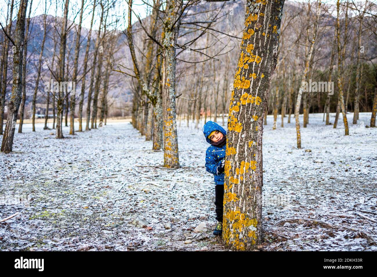 Cute Boy Hiding Behind Tree High Resolution Stock Photography and ...