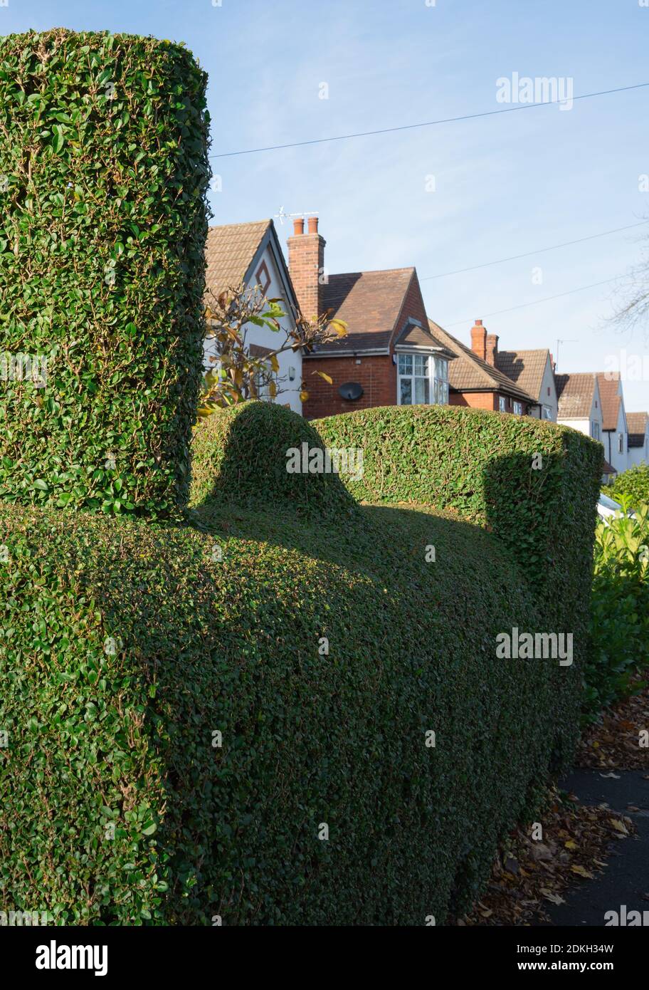 Hedging cutter hi-res stock photography and images - Alamy