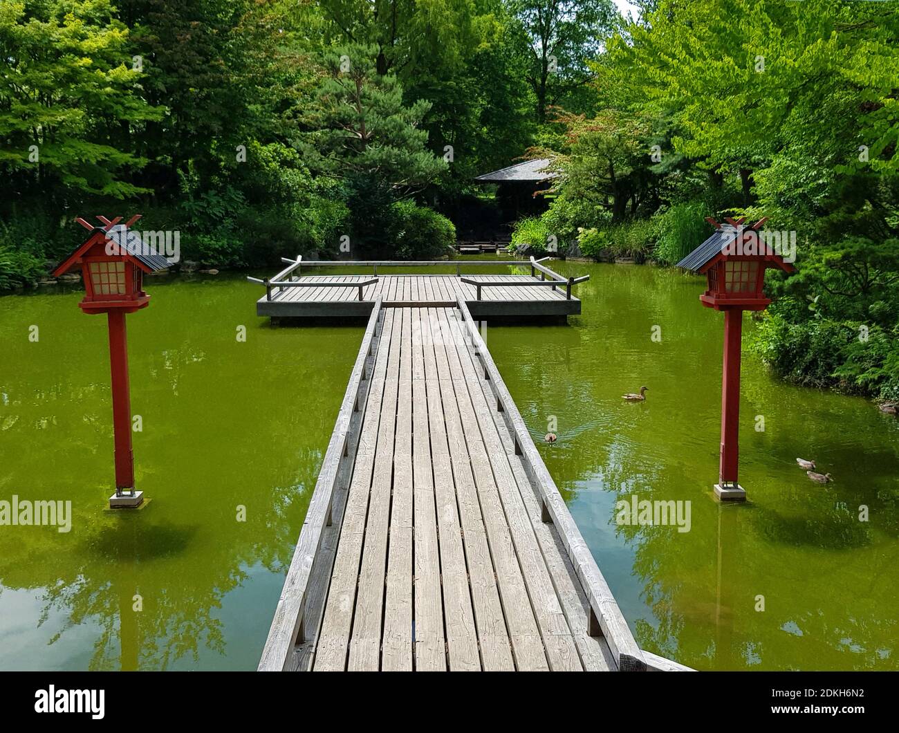Timber boardwalk garden hi-res stock photography and images - Alamy