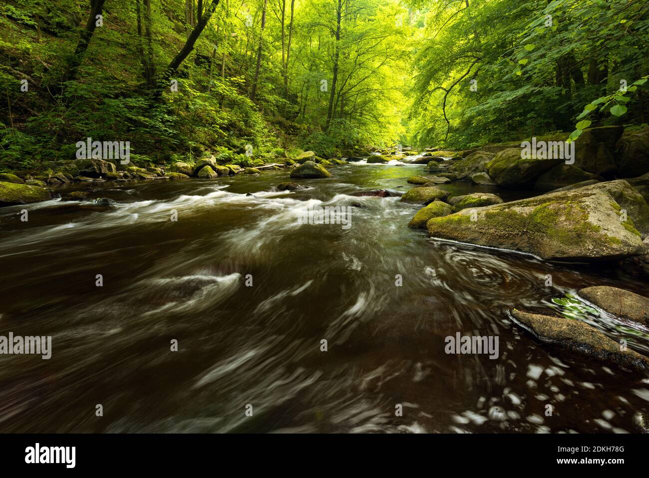 Bode river gorge hi-res stock photography and images - Alamy