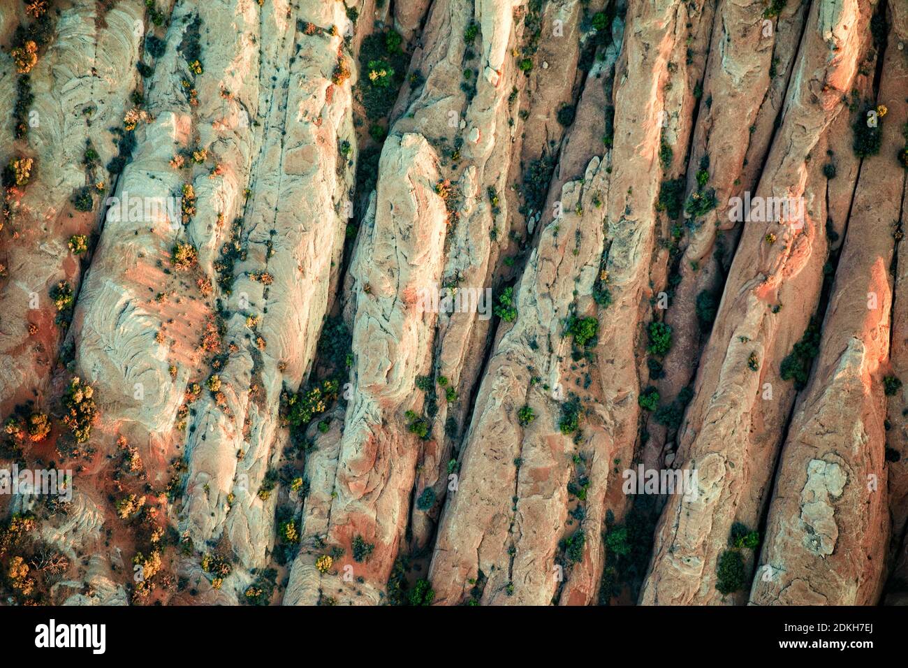 Rock structures of the arches in the Arches National PArk, Moab ...