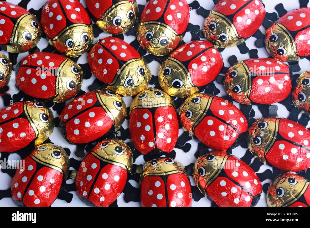 Chocolate beetle hi-res stock photography and images - Alamy