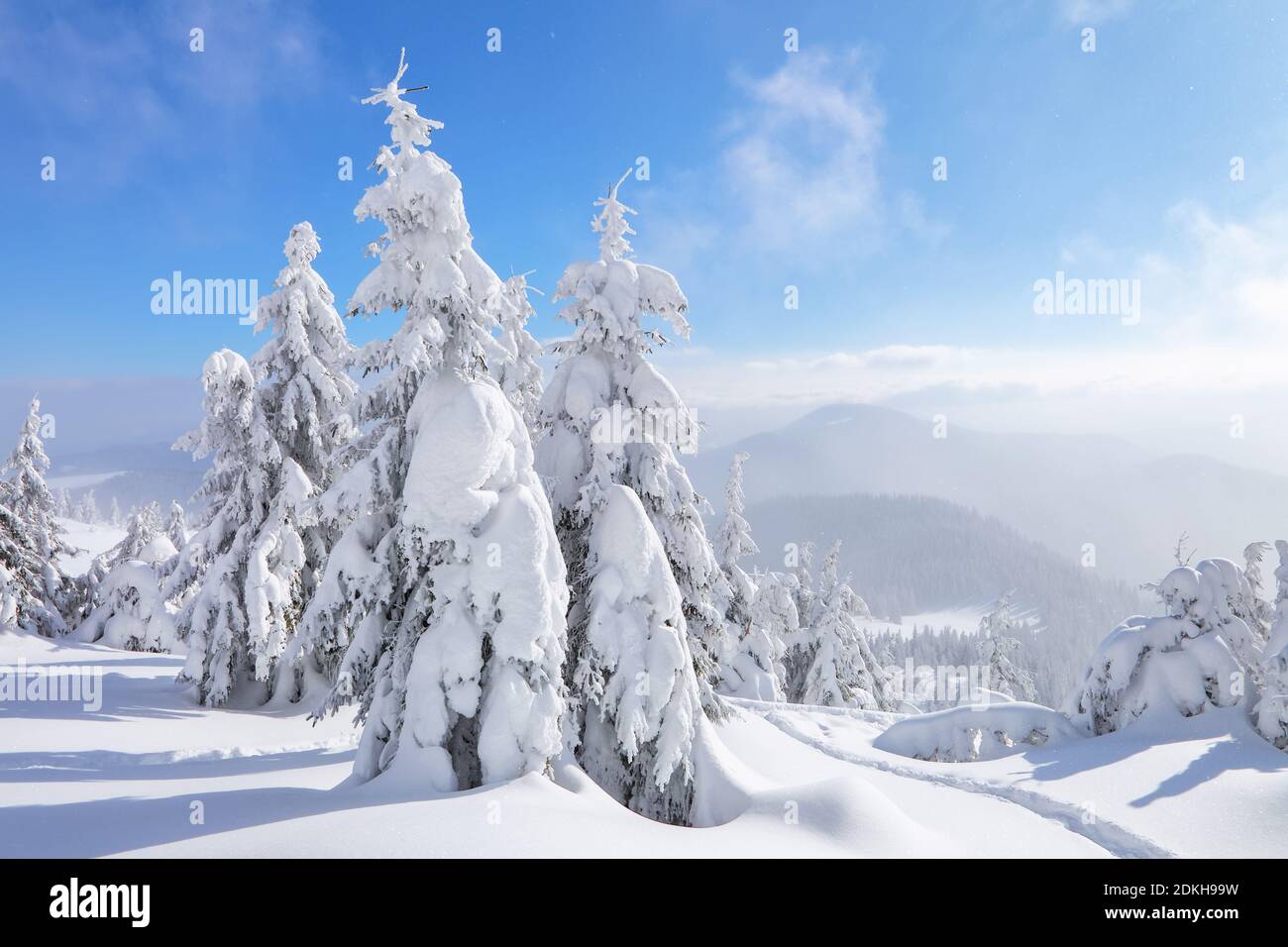 Scenery Of Nature Winter