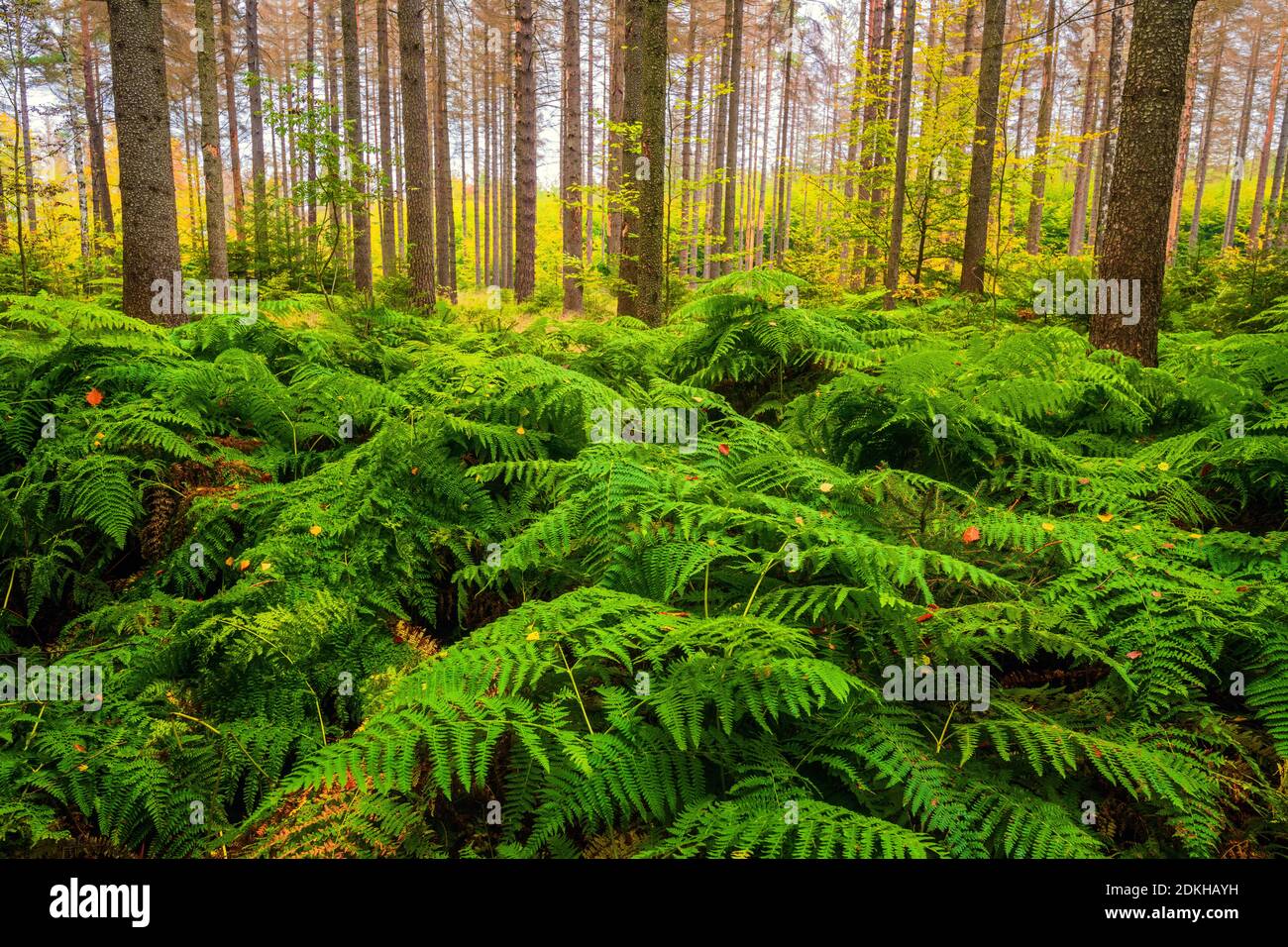 Borderland paradise hi-res stock photography and images - Alamy