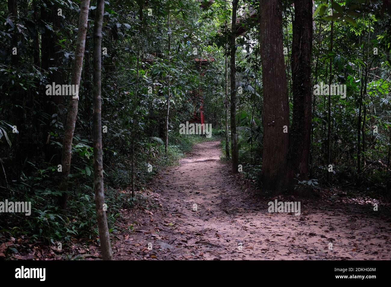 Thung khai hi-res stock photography and images - Alamy