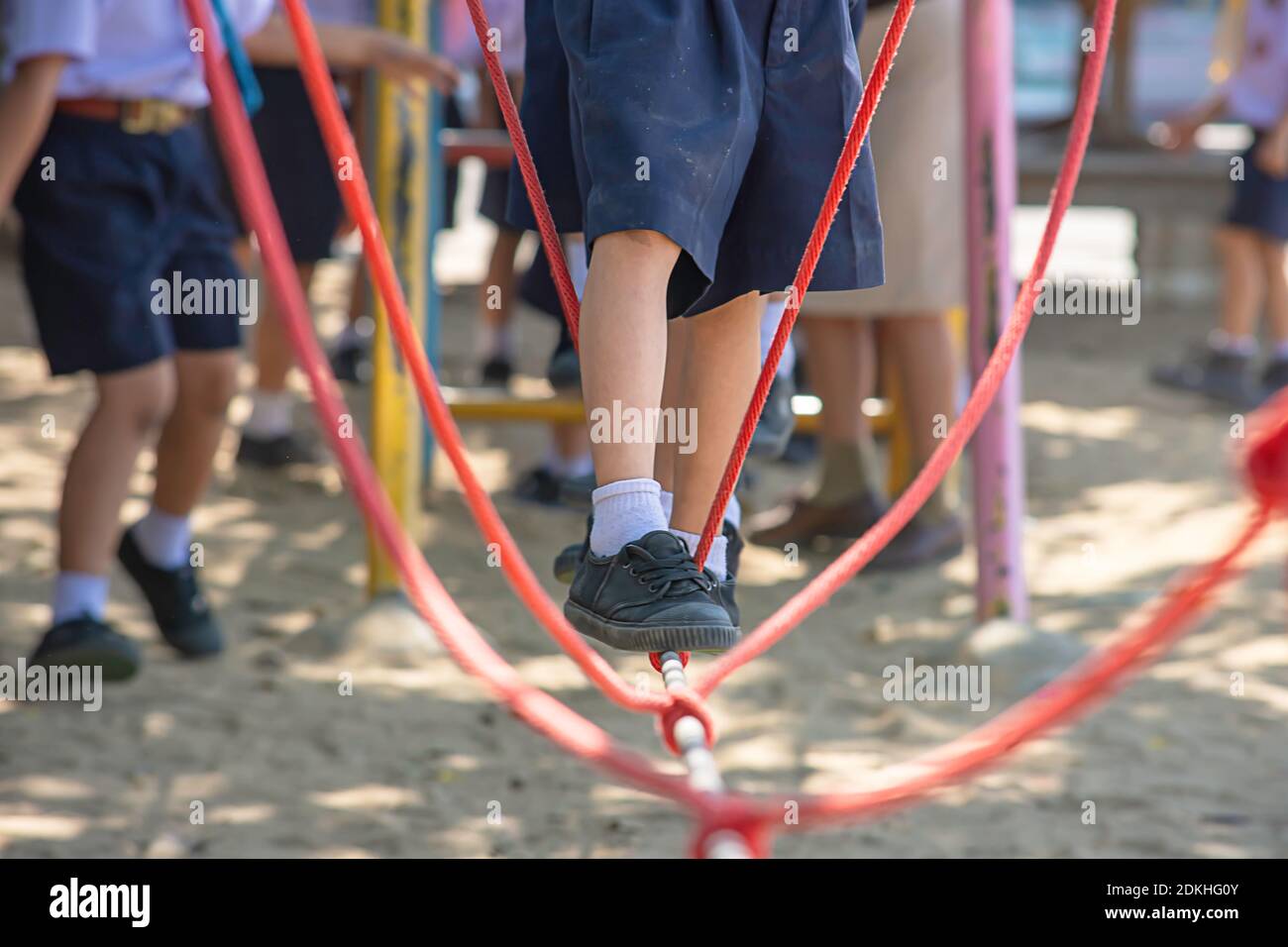 Children tree walking ropes hi-res stock photography and images - Alamy