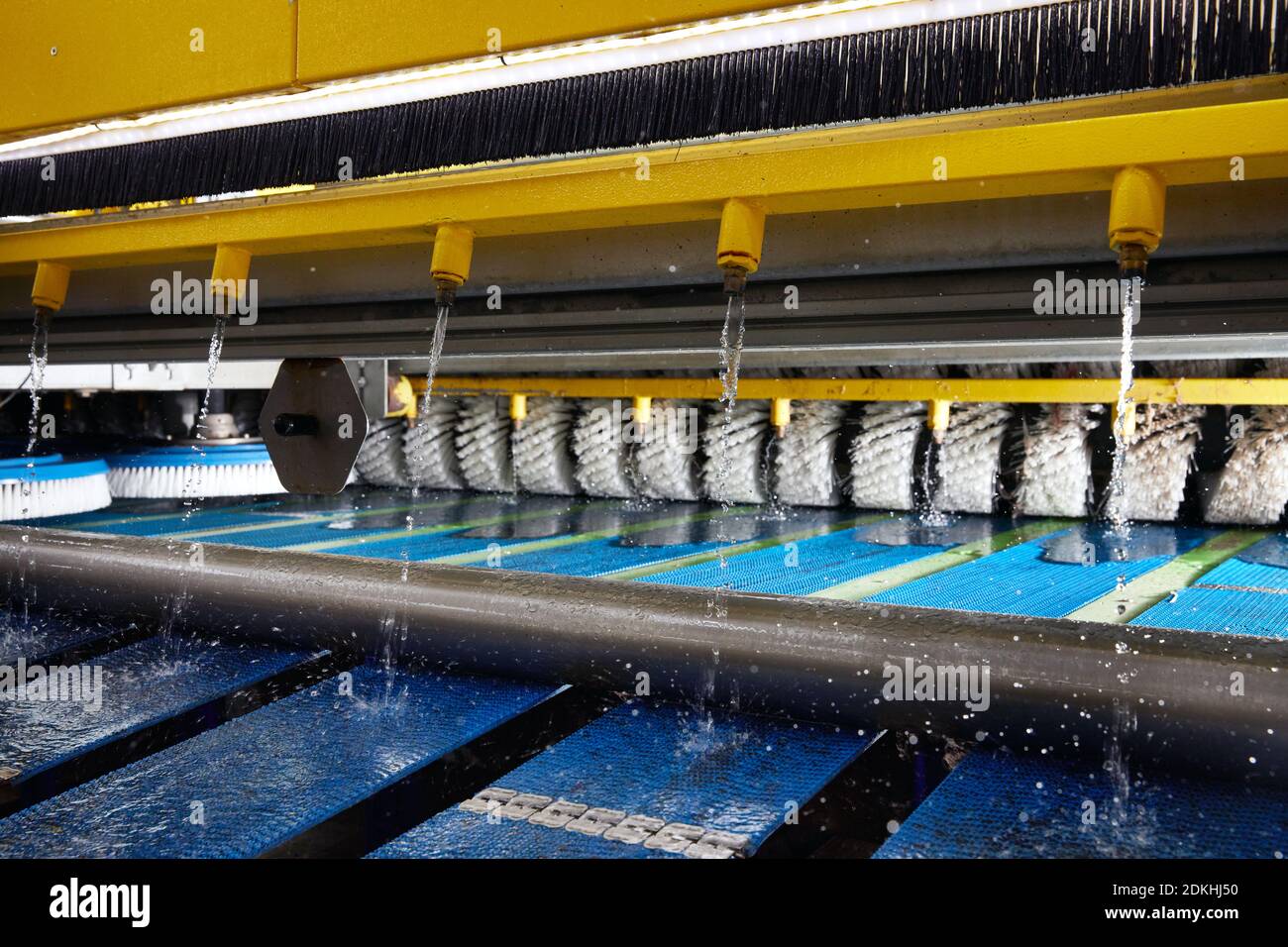 Automatic machine and equipment for carpet washing and dry cleaning ...