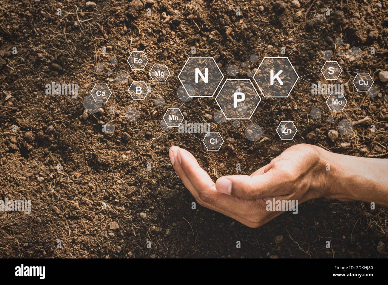 Elements Needed High Resolution Stock Photography and Images - Alamy