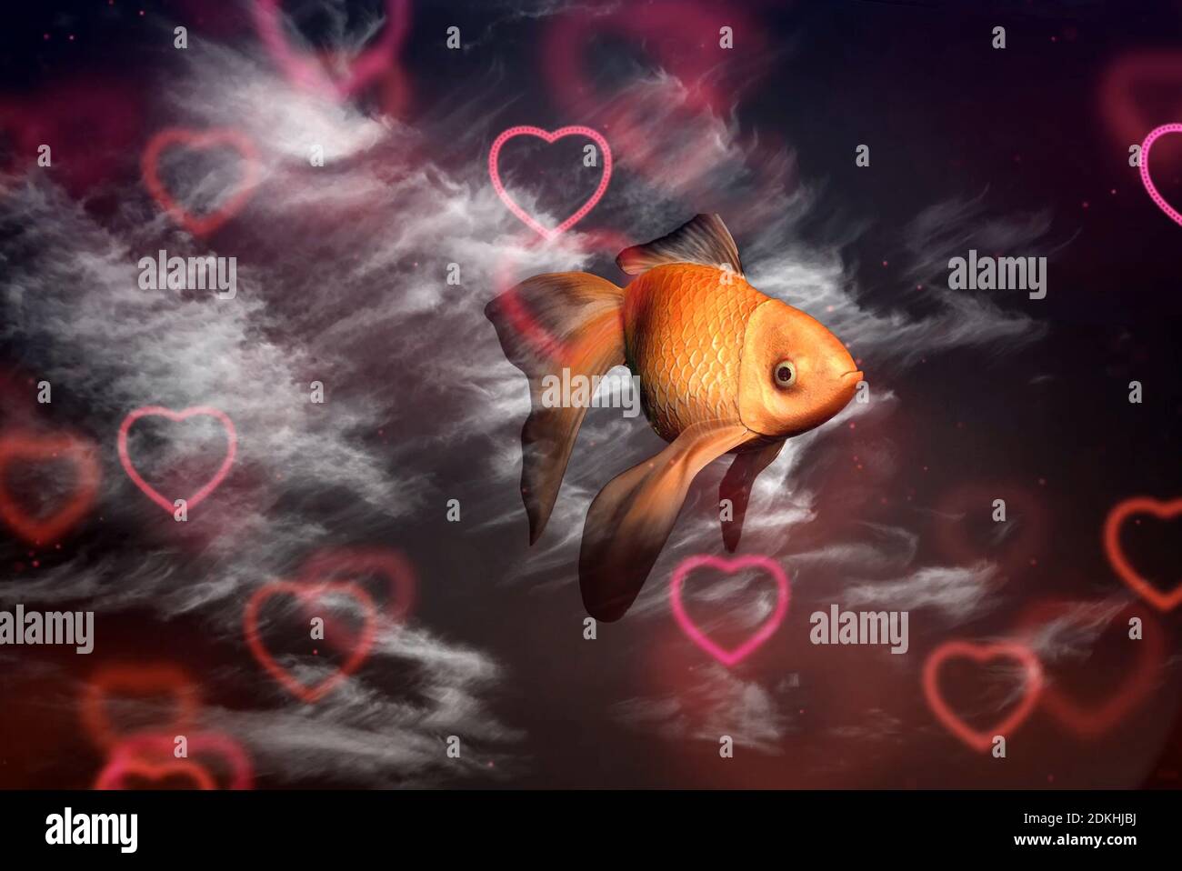 Goldfish and red hearts. Love fish. 3d rendering Stock Photo - Alamy