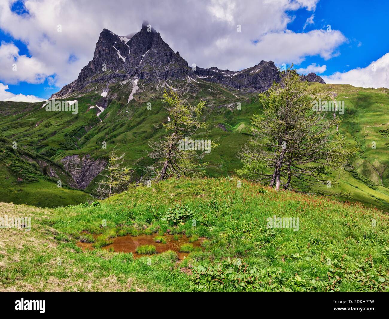Alpine pastures, pastures, alpine pastures, ponds, water holes, rocks ...