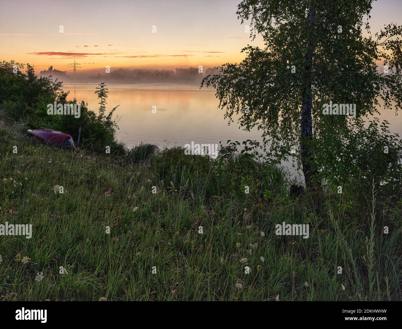 Lech terrace, Lech, bank, river bank, deciduous trees, forest, alluvial ...