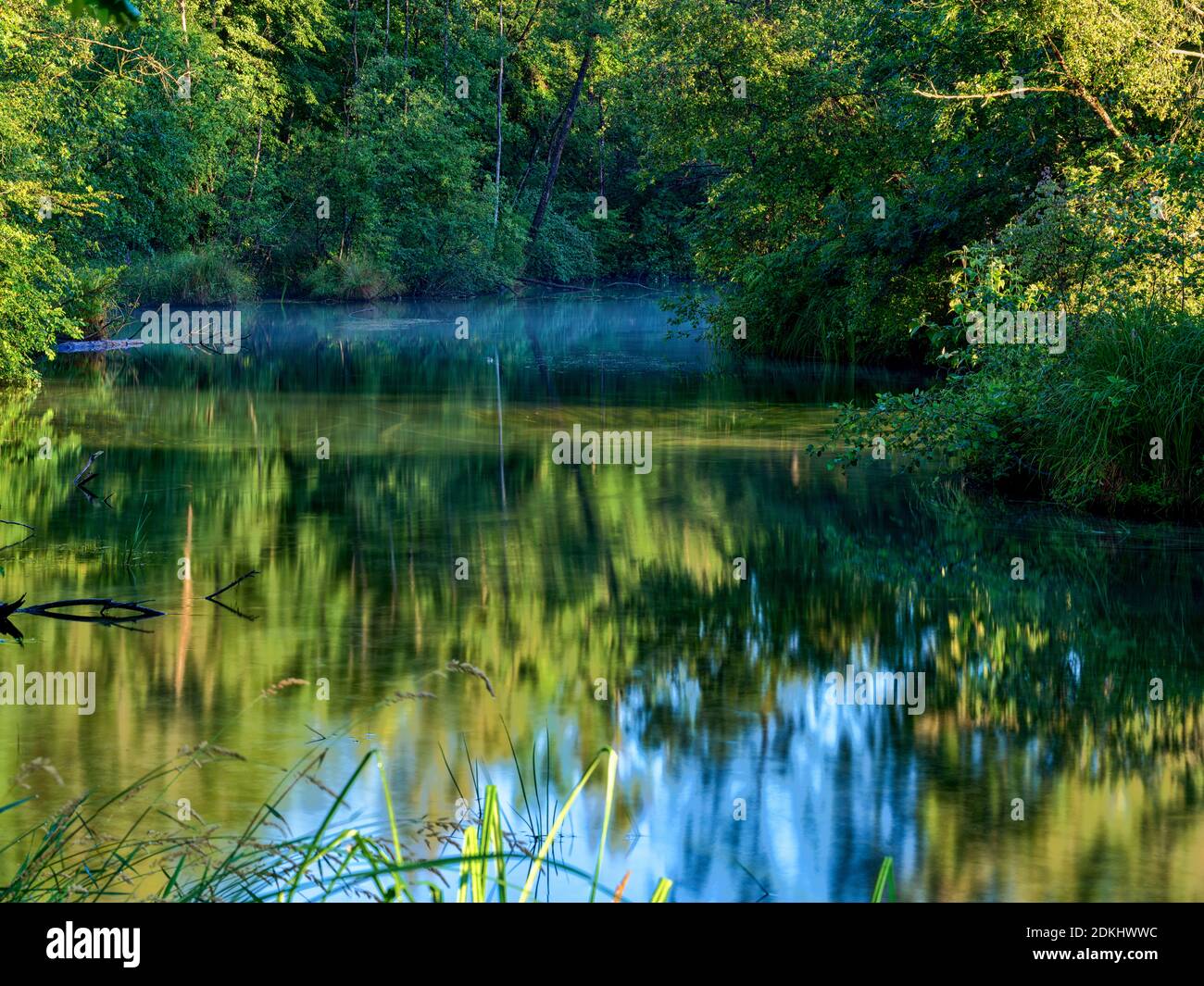 Lech terrace, Lech, bank, river bank, deciduous trees, forest, alluvial ...