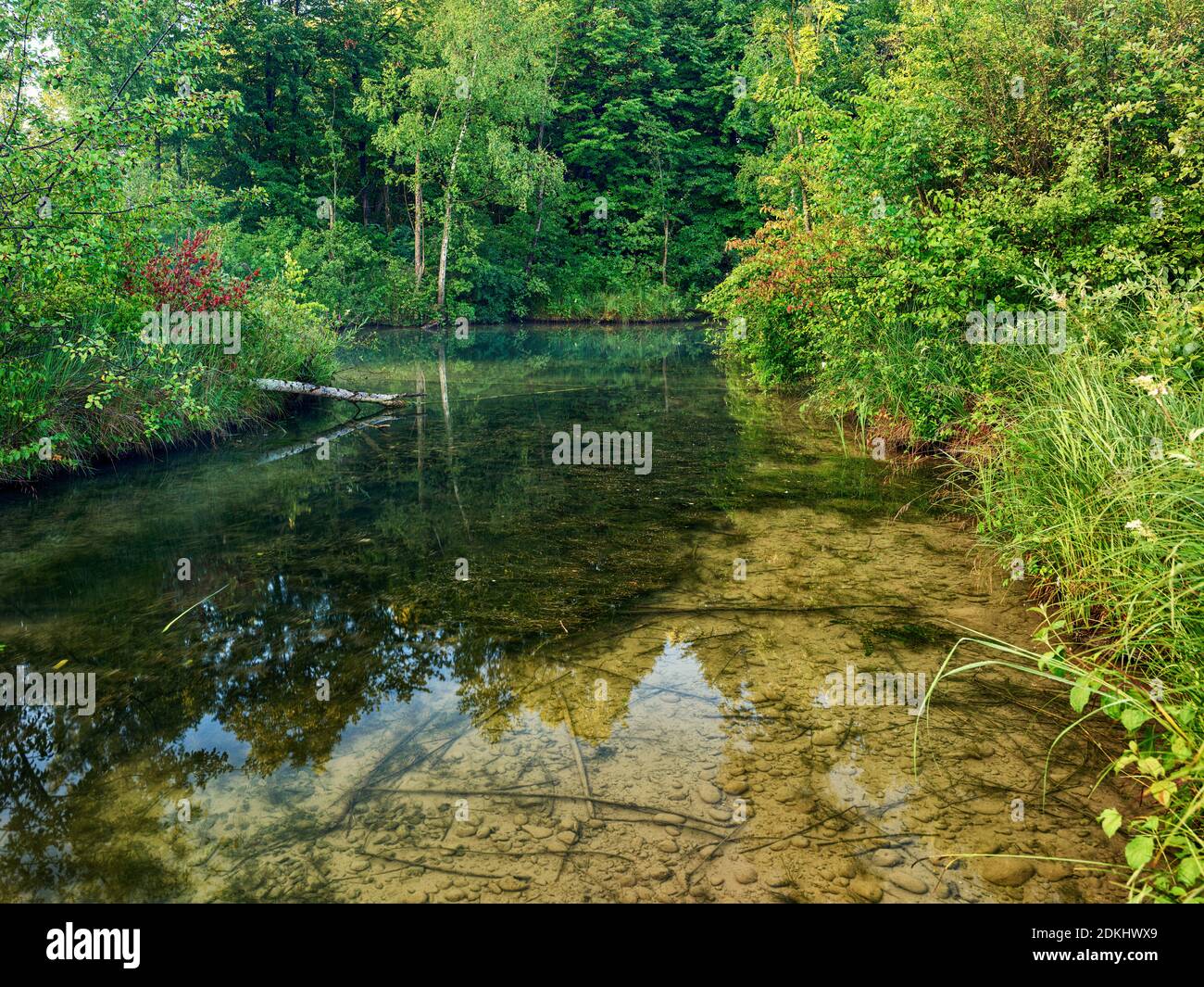 Lech terrace, Lech, bank, river bank, deciduous trees, forest, alluvial ...