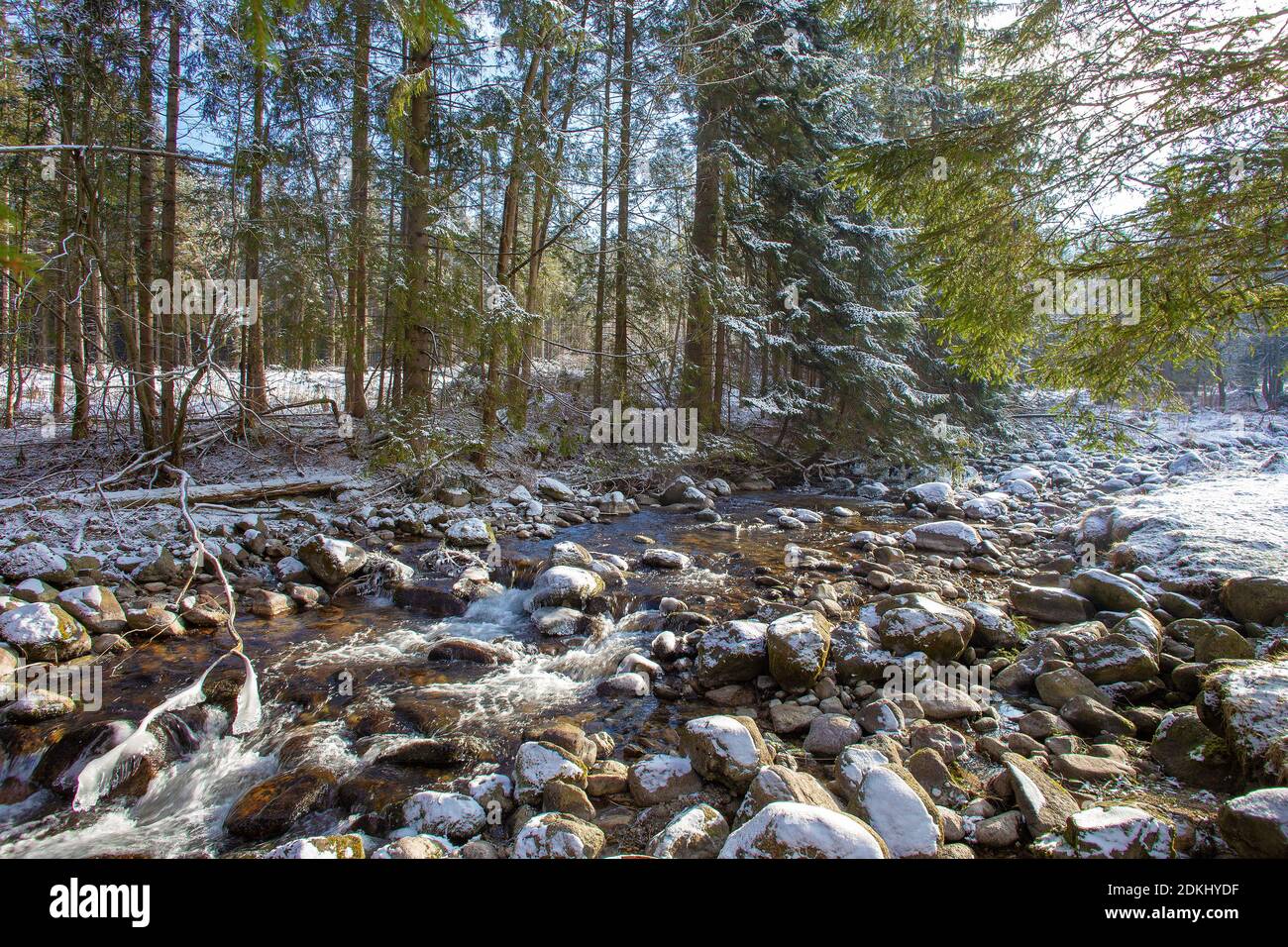 Tatra vacations hi-res stock photography and images - Alamy