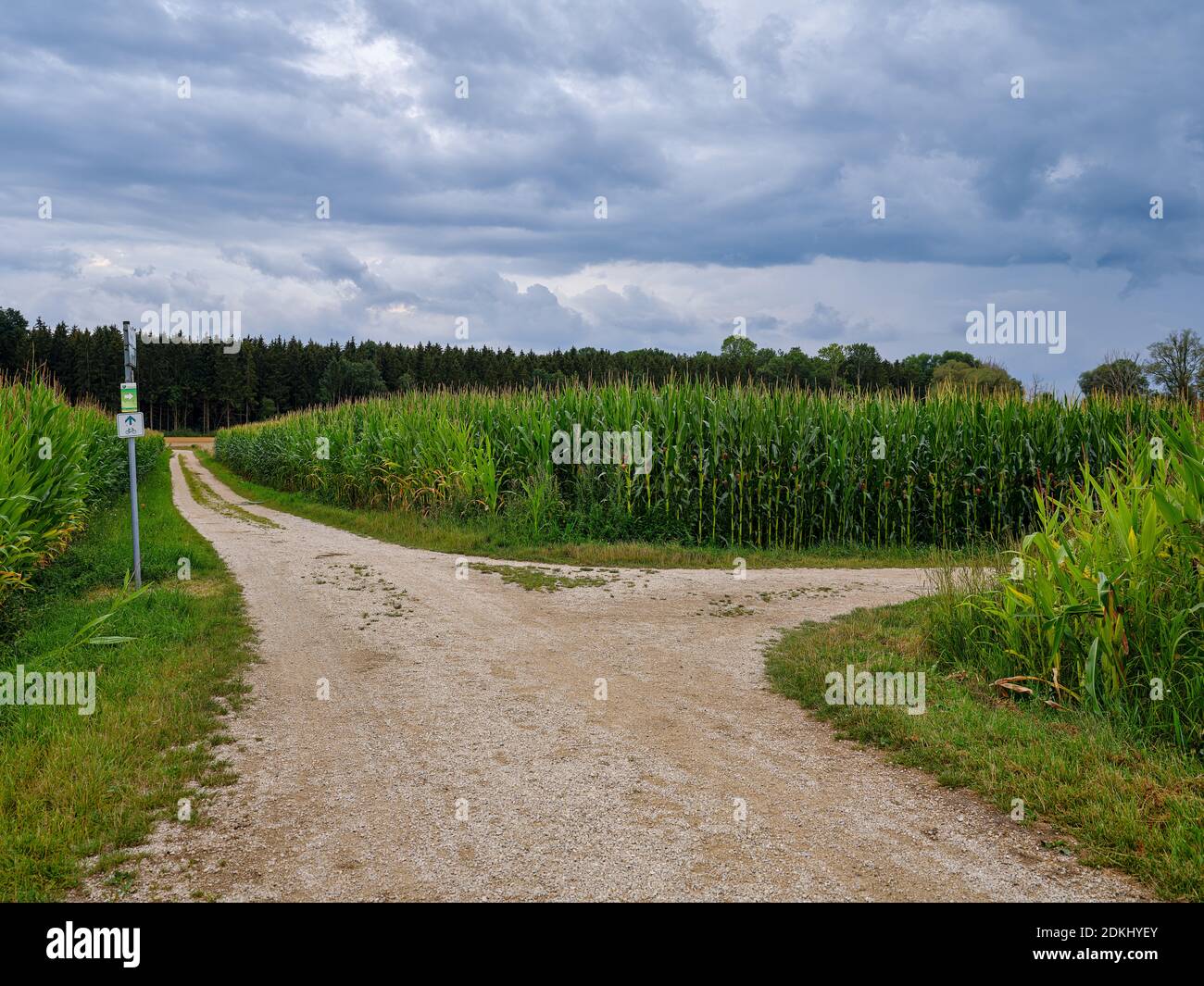 River, flowing water, floodplain, alluvial forest, forest, tree, trees ...