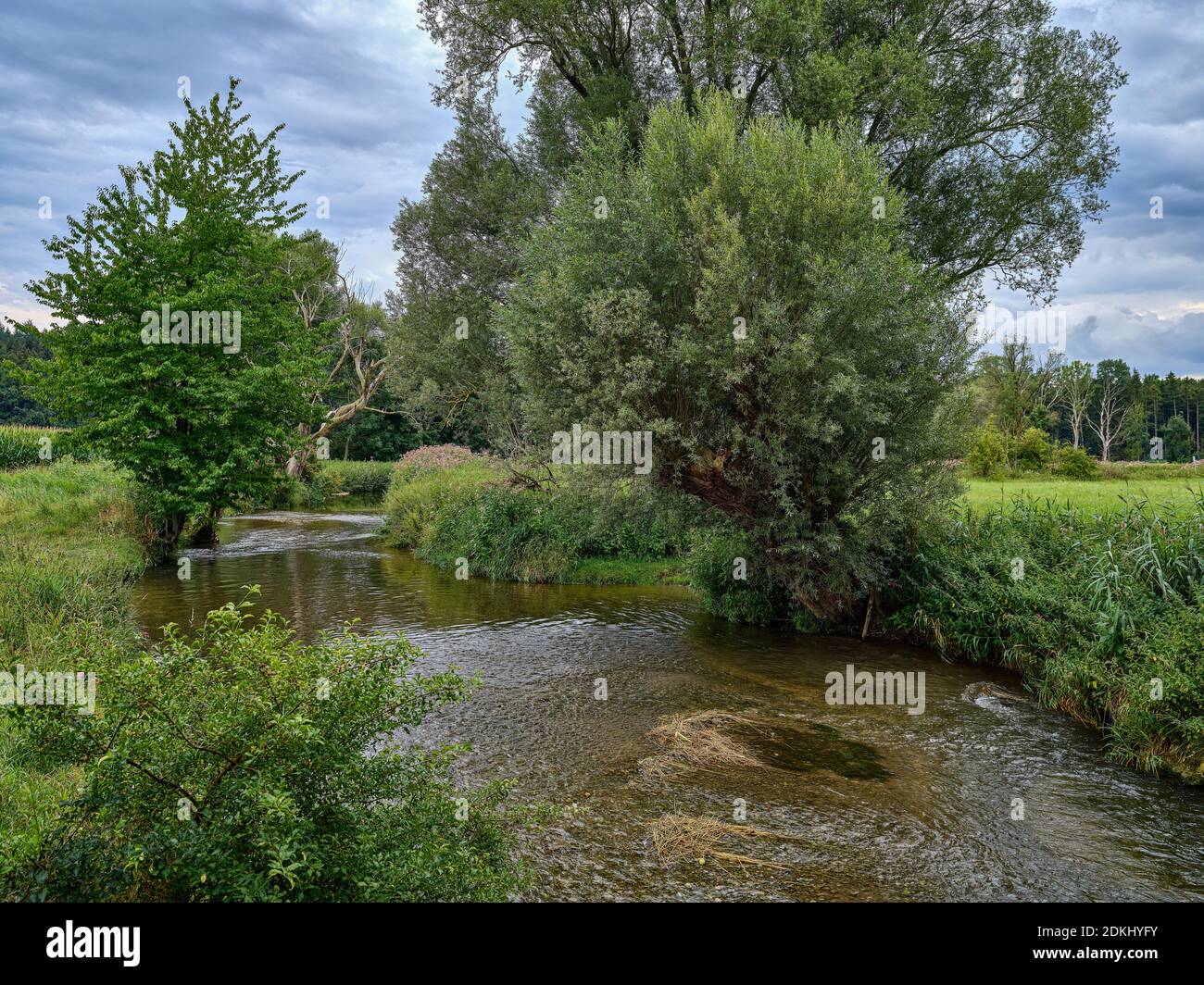 River, flowing water, floodplain, alluvial forest, forest, tree, trees ...