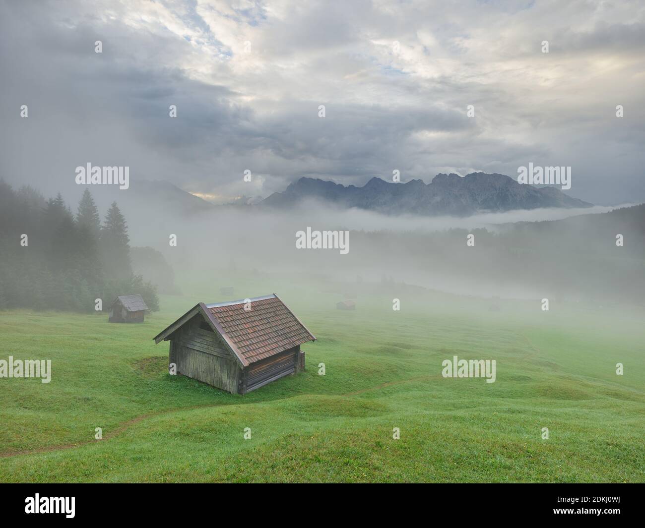 Forest, mountain forest, hill, chain of hills, lake, alpine pastures ...
