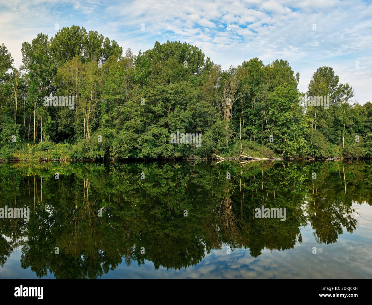 Floodplain, floodplain, alluvial forest, forest, river, flowing water ...
