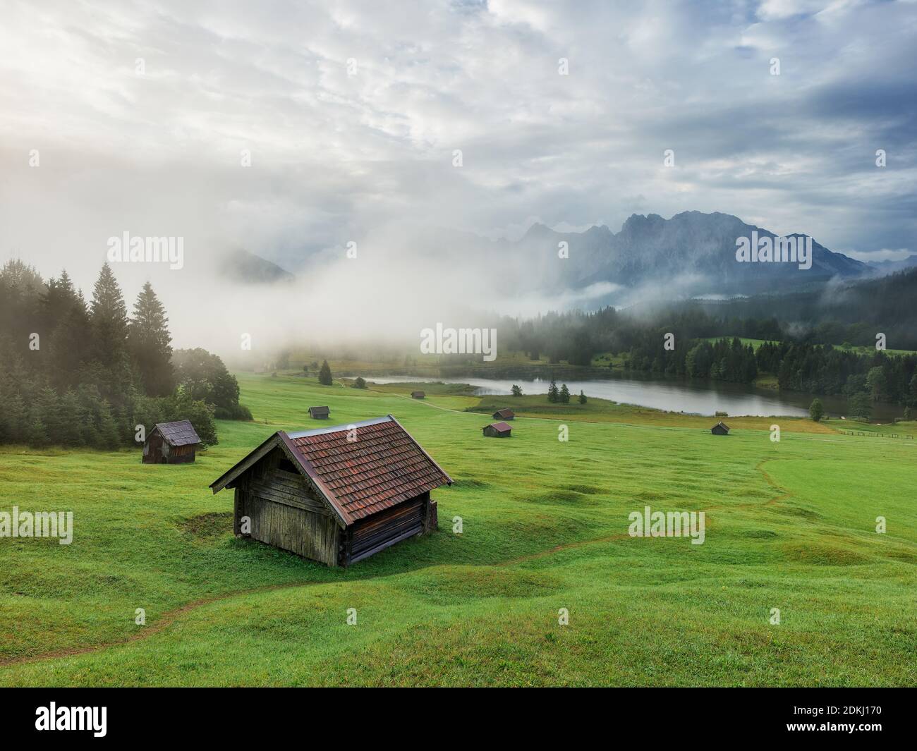 Forest, mountain forest, hill, chain of hills, lake, alpine pastures ...
