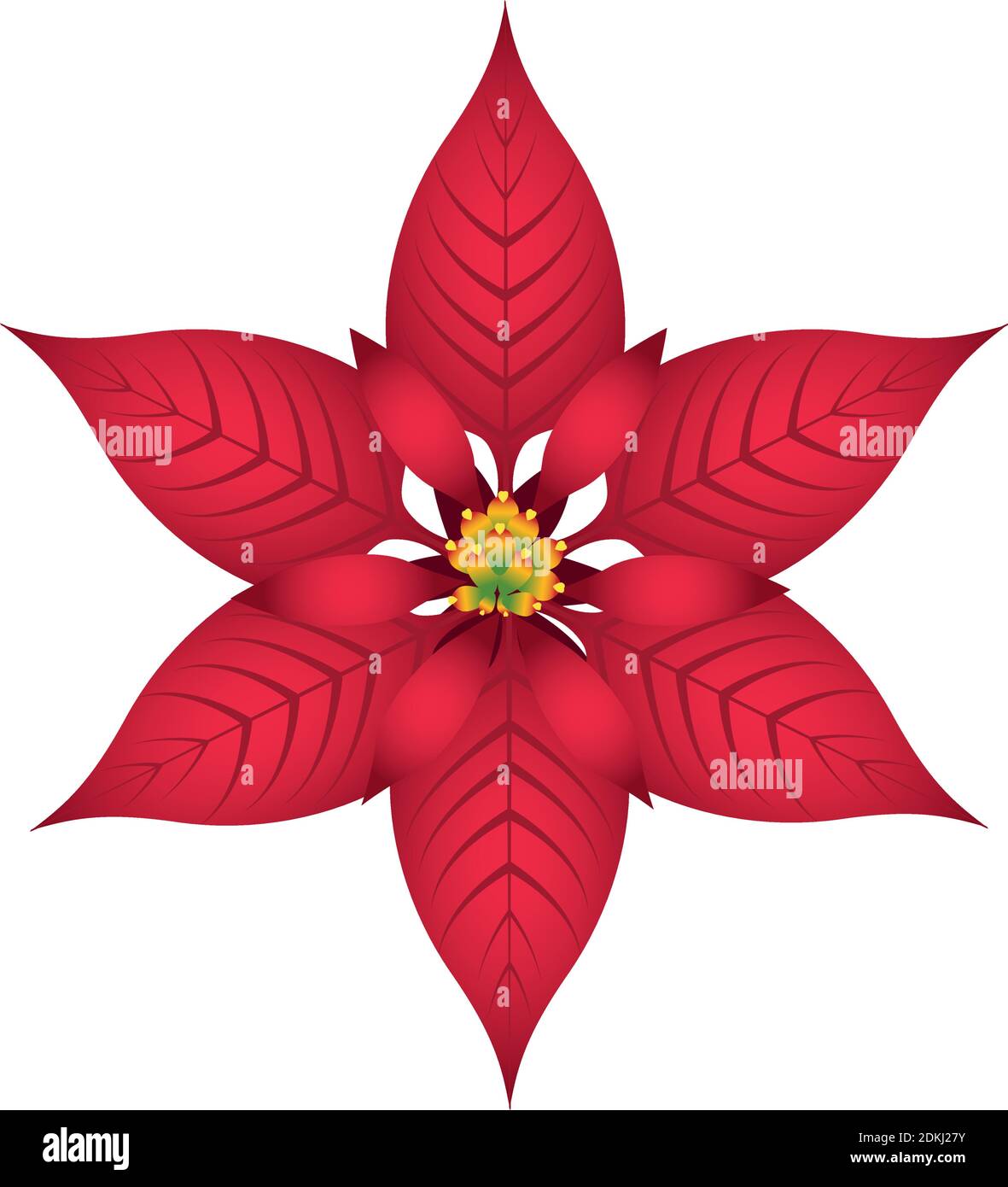 happy merry christmas red flower decoration vector illustration design ...