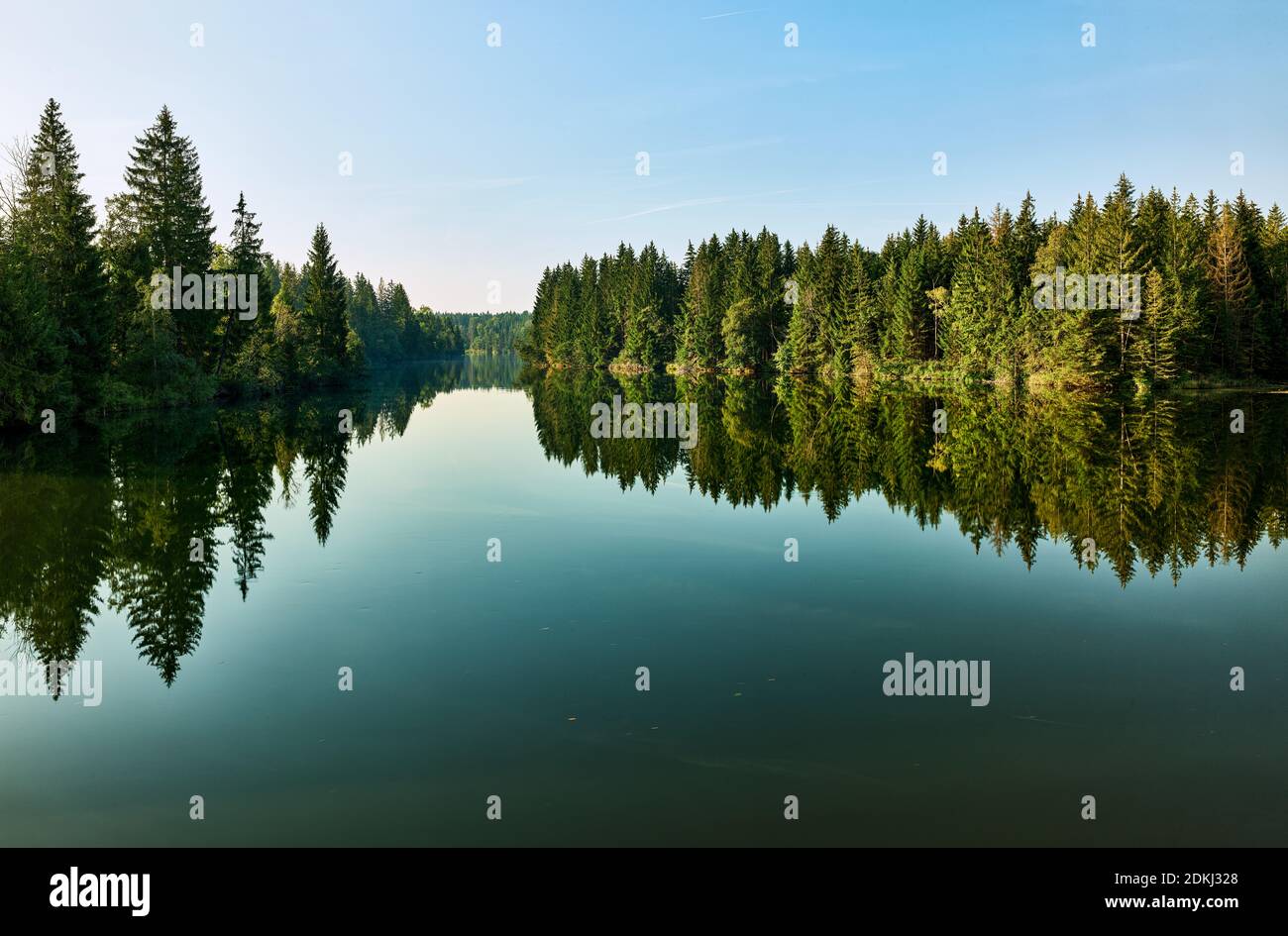 River, flowing water, bank, embankment, alluvial forest, forest ...
