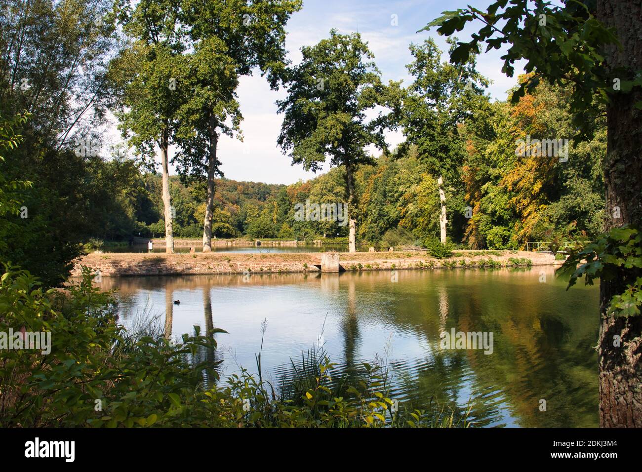 Natuaral habitat hi-res stock photography and images - Alamy