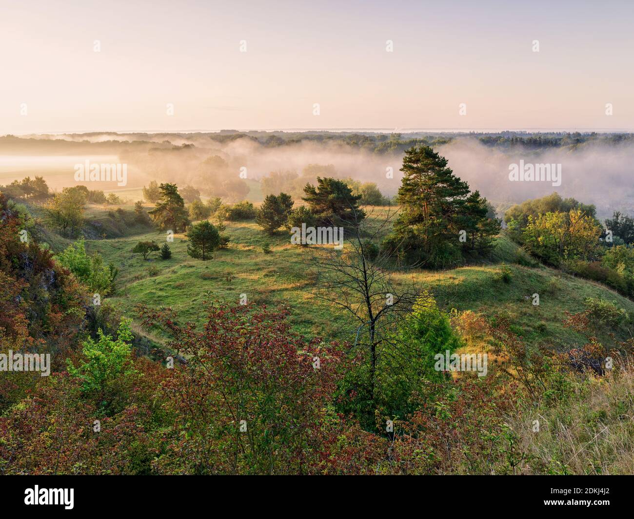 Flowing water, river, river valley, floodplain, alluvial forest, rocks ...