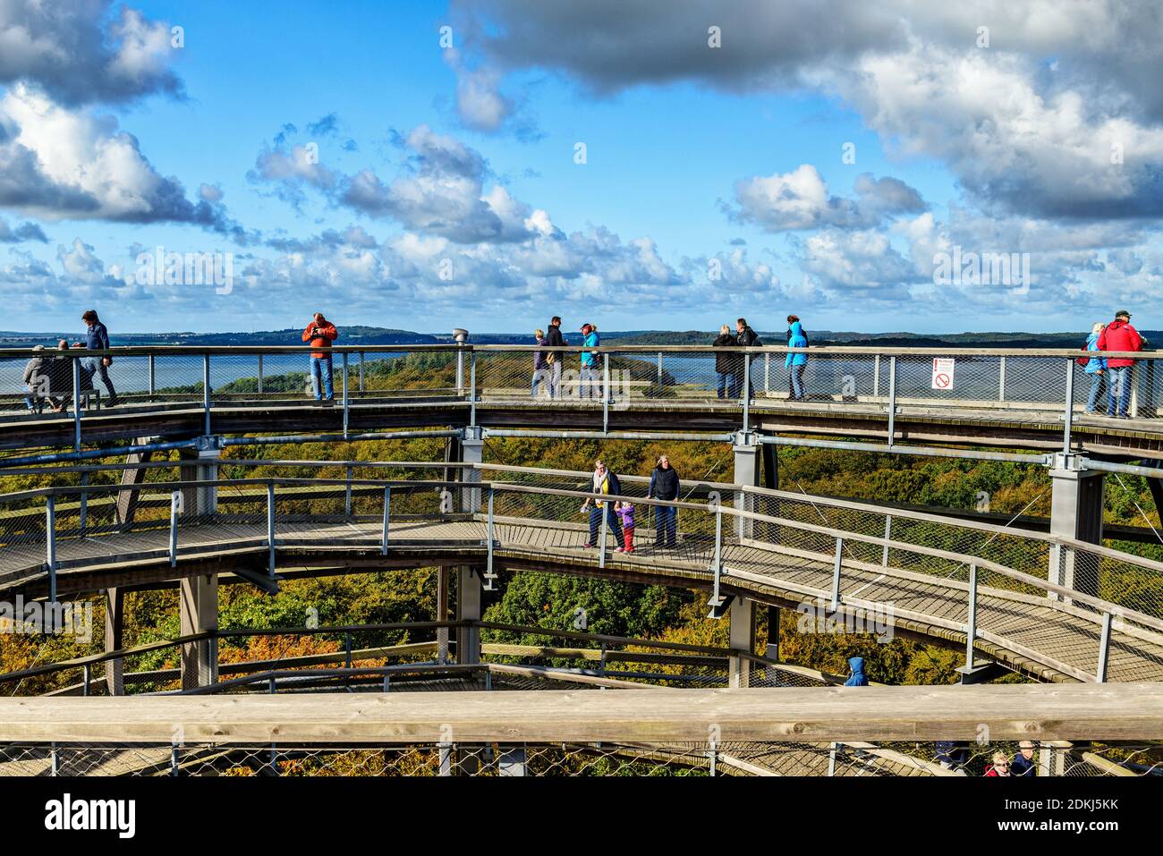 Forest, people, treetop path, sight Stock Photo - Alamy
