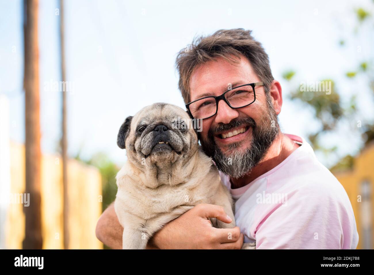 Handsome pug hi-res stock photography and images - Alamy