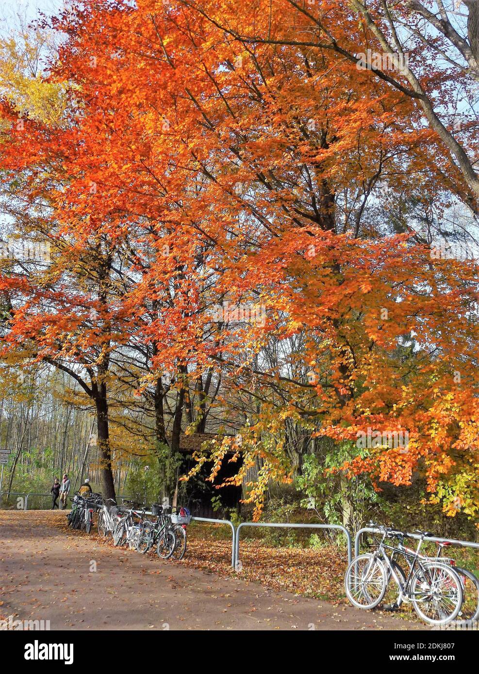 Germany, Bavaria, Germering, cyclists and bicycles at Germeringer See ...
