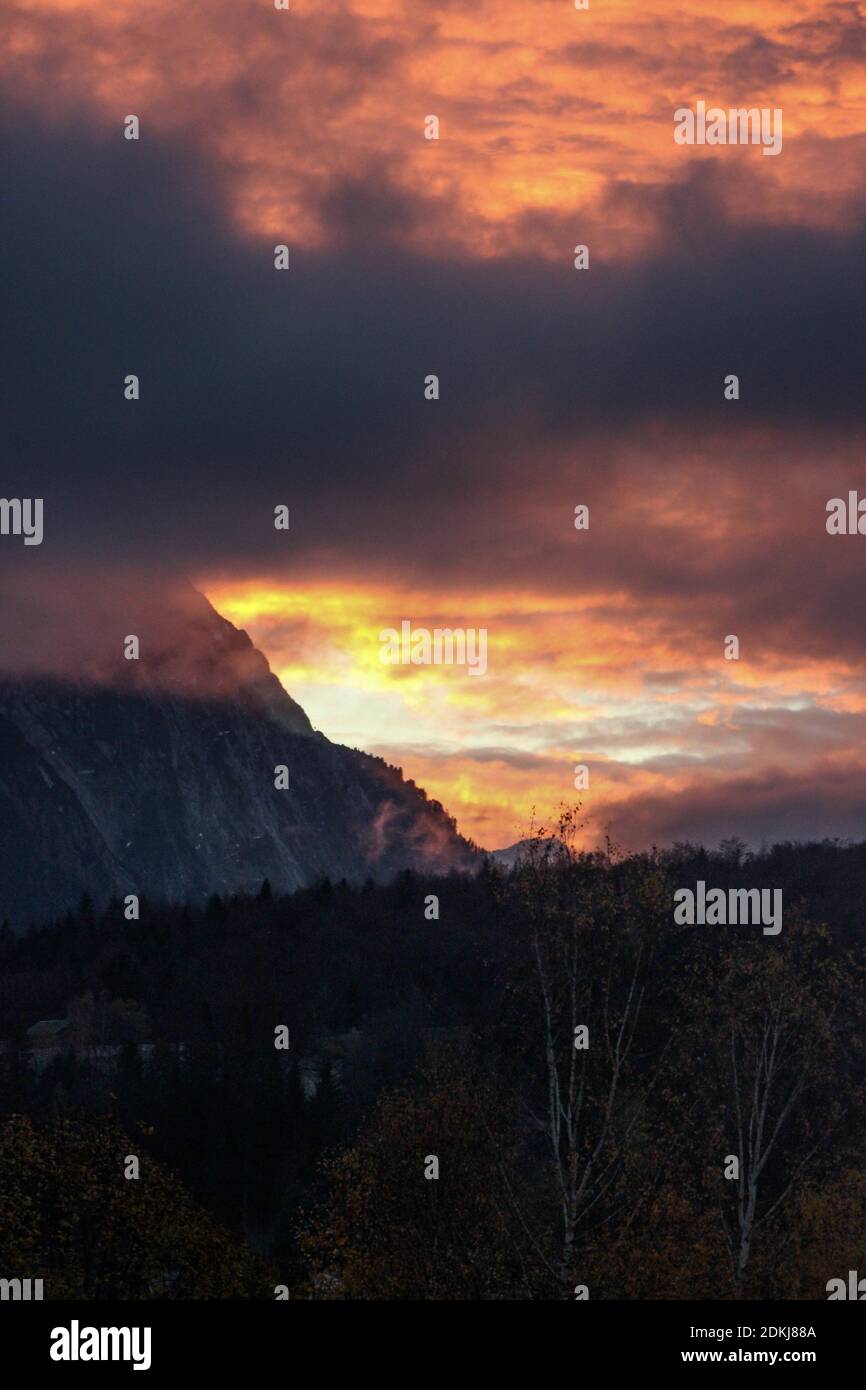 Sunset forest hi-res stock photography and images - Alamy