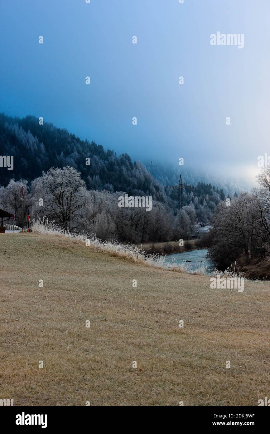 River meadow plants hi-res stock photography and images - Alamy