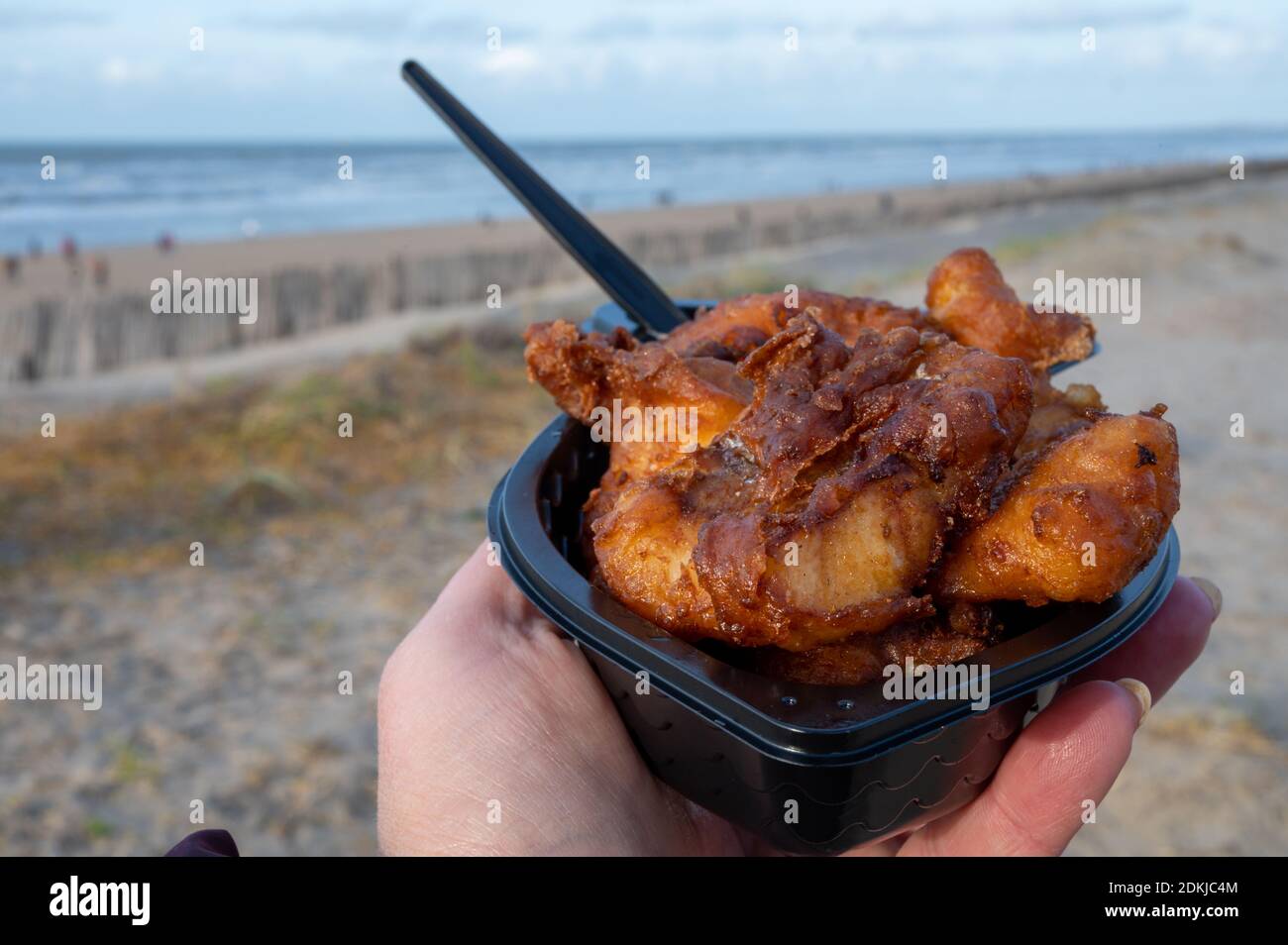 Dutch street seafood, deep fried cod fish fillet with garlic sauce ...