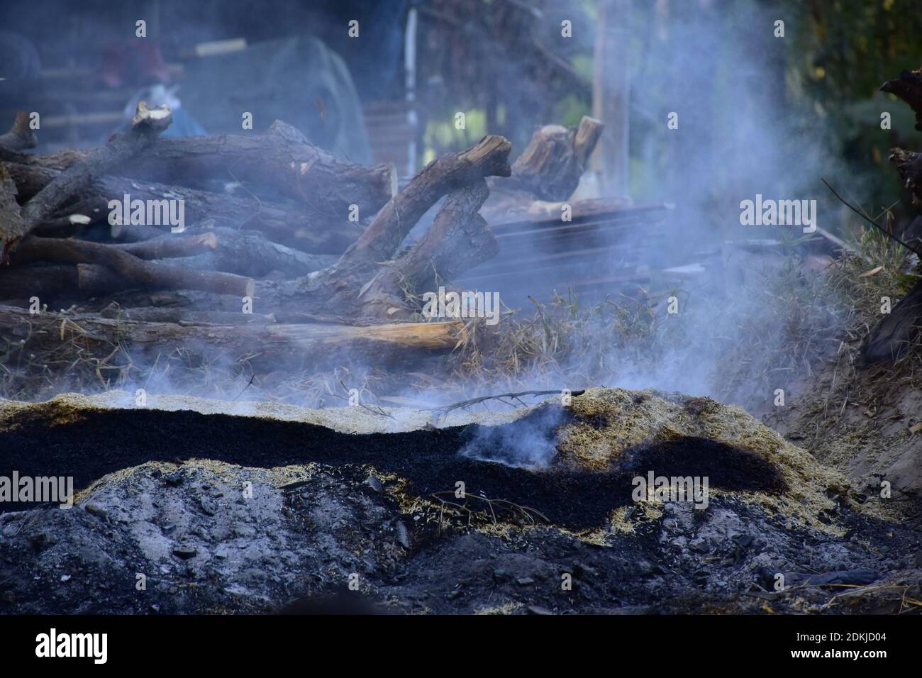 Wildlife charcoal hi-res stock photography and images - Alamy